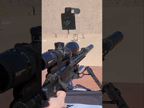 SDS Precision Bolt-Action Rifle – Bullets4Bucks