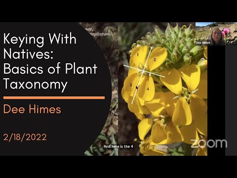 Keying With California Native Plants: Basics of Plant Taxonomy 2/18/2022