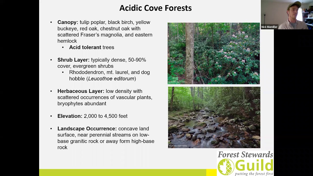 Ecological Forestry in Mountain Coves of the Appalachian Region Webinar