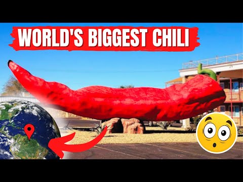 THE WORLD'S LARGEST CHILE PEPPER 🌶 on Google Earth and Google Maps 🌎