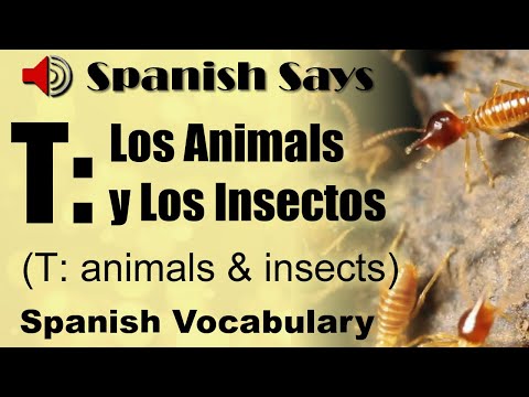 Words starting with T for Los Animals and Los Insectos - Animals & Insects in Spanish | Spanish Says