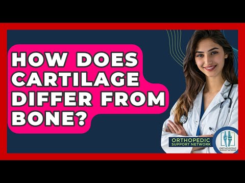 How Does Cartilage Differ From Bone? - Orthopedic Support Network