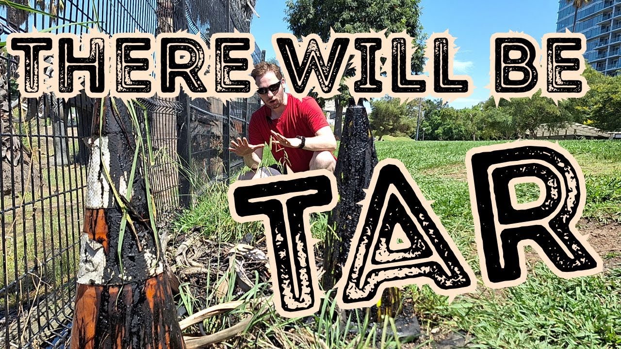 Once Upon a Tar in Hollywood | La Brea Tar Pits