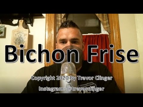 How To Pronounce Bichon Frise