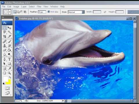 How to Check Image Size & Resolution