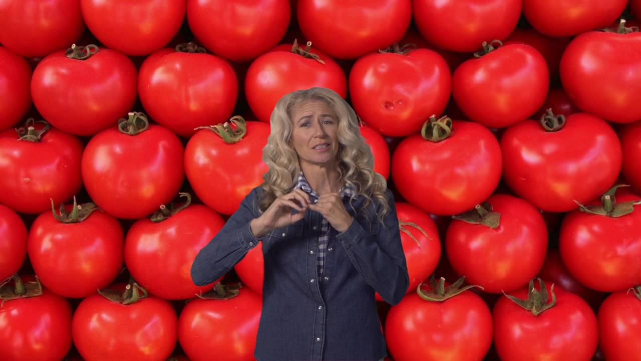 Homework 2: Categories