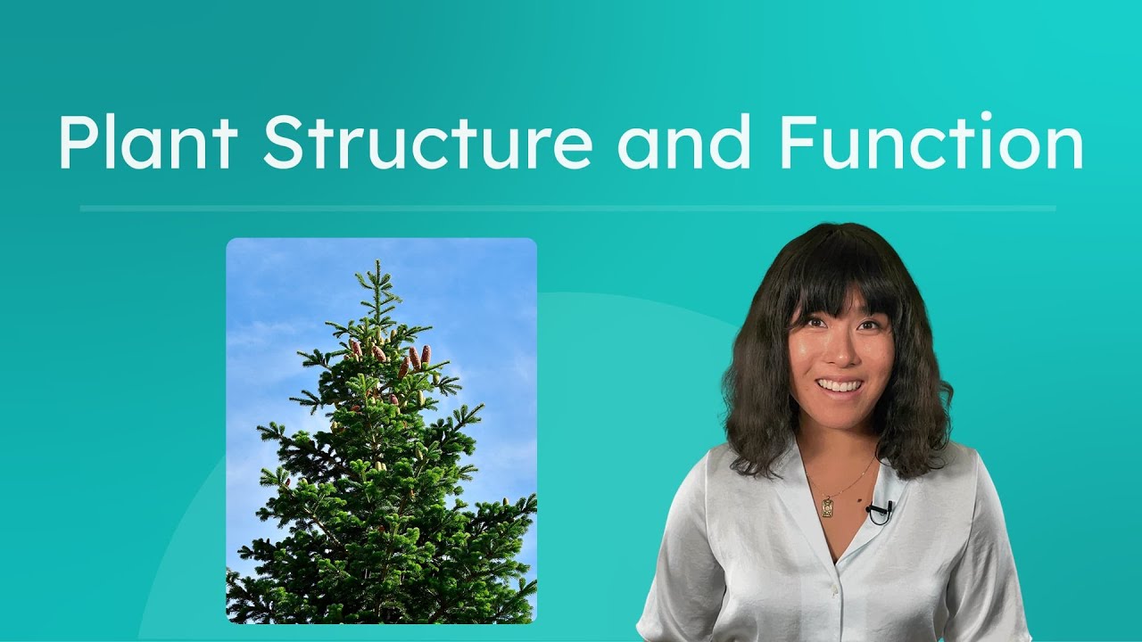 Plant Structure and Function - How Plants Grow and Reproduce