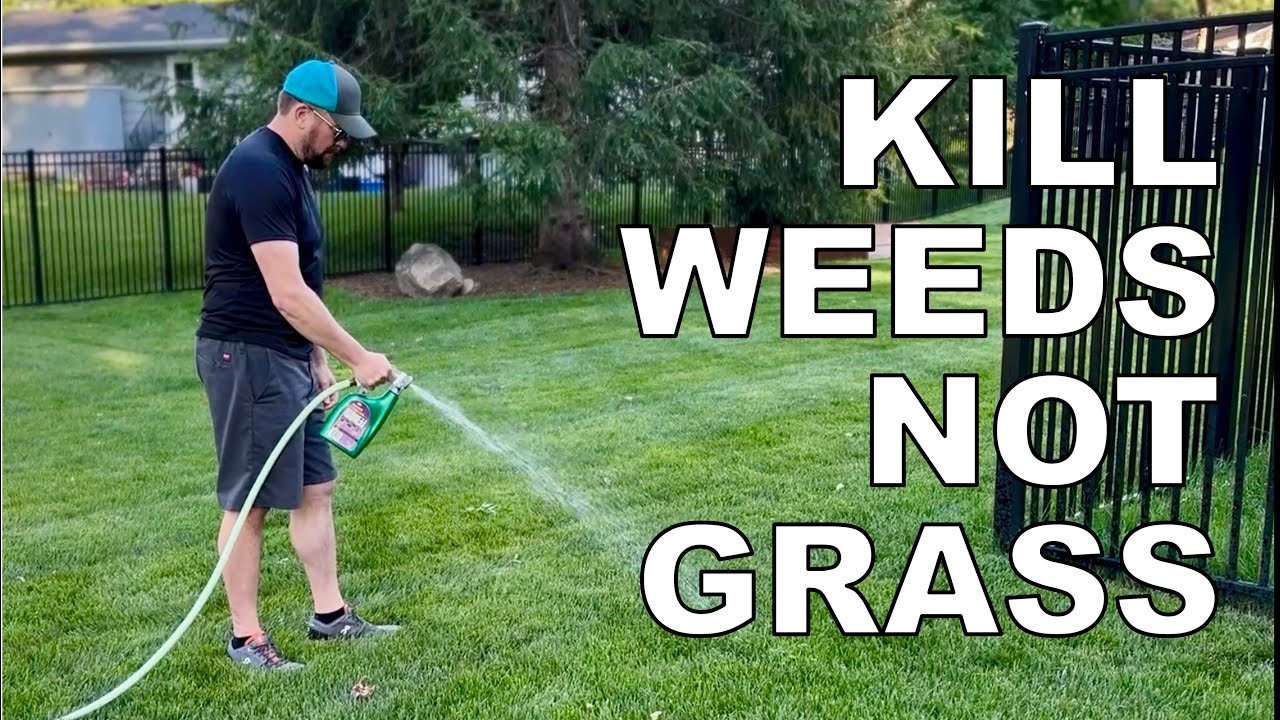 Kill weeds not grass. Creeping Charlie, crabgrass and clover. Summer weed control made easy.