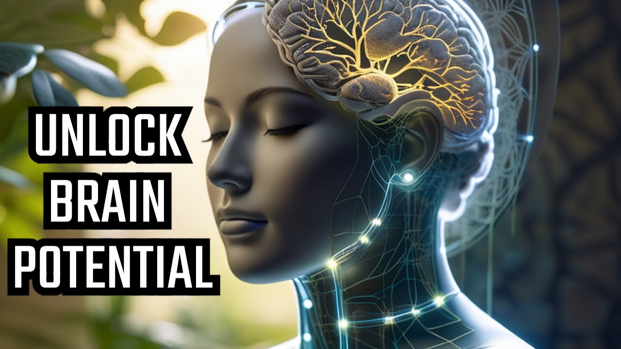 🧠The Transformative Power of Meditation: How It shapes the brain