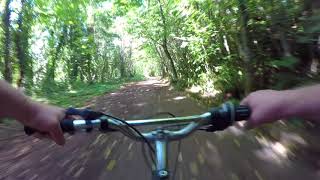 3 Best Hiking Trails in Salem, OR - Expert Recommendations