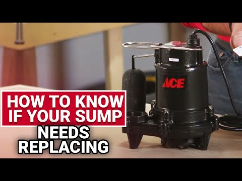 How To Know If Your Sump Needs Replacing - Ace Hardware