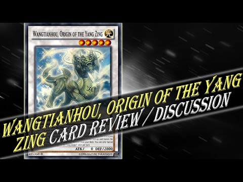 Wangtianhou, Origin of the Yang Zing Discussion - The Literal Definition of Amazing