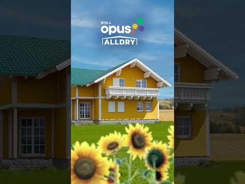 Birla White Primer - Latest Price, Dealers & Retailers in India