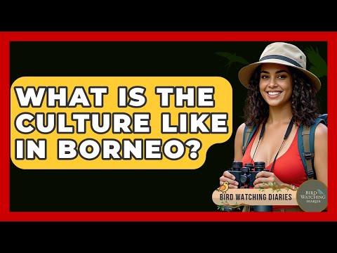 What Is The Culture Like In Borneo? - Bird Watching Diaries