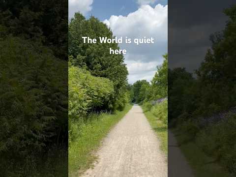 Summer is all about Trails and adventure #travel #trending #nature #trail #camping #shorts
