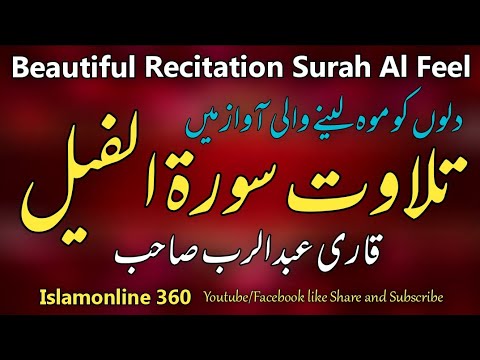 Surat Al Fil Beautifull Recitation of Surah Al Feel تلاوت سورۃ الفیل