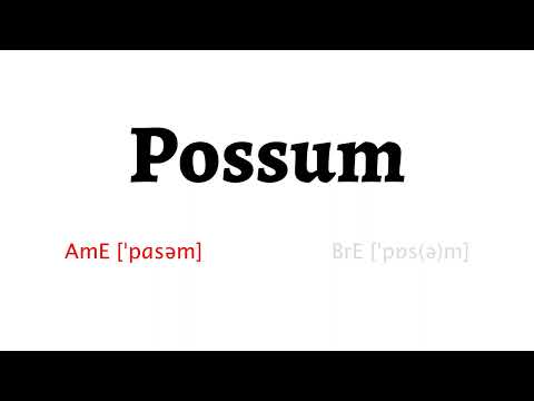 How to Pronounce possum in American English and British English