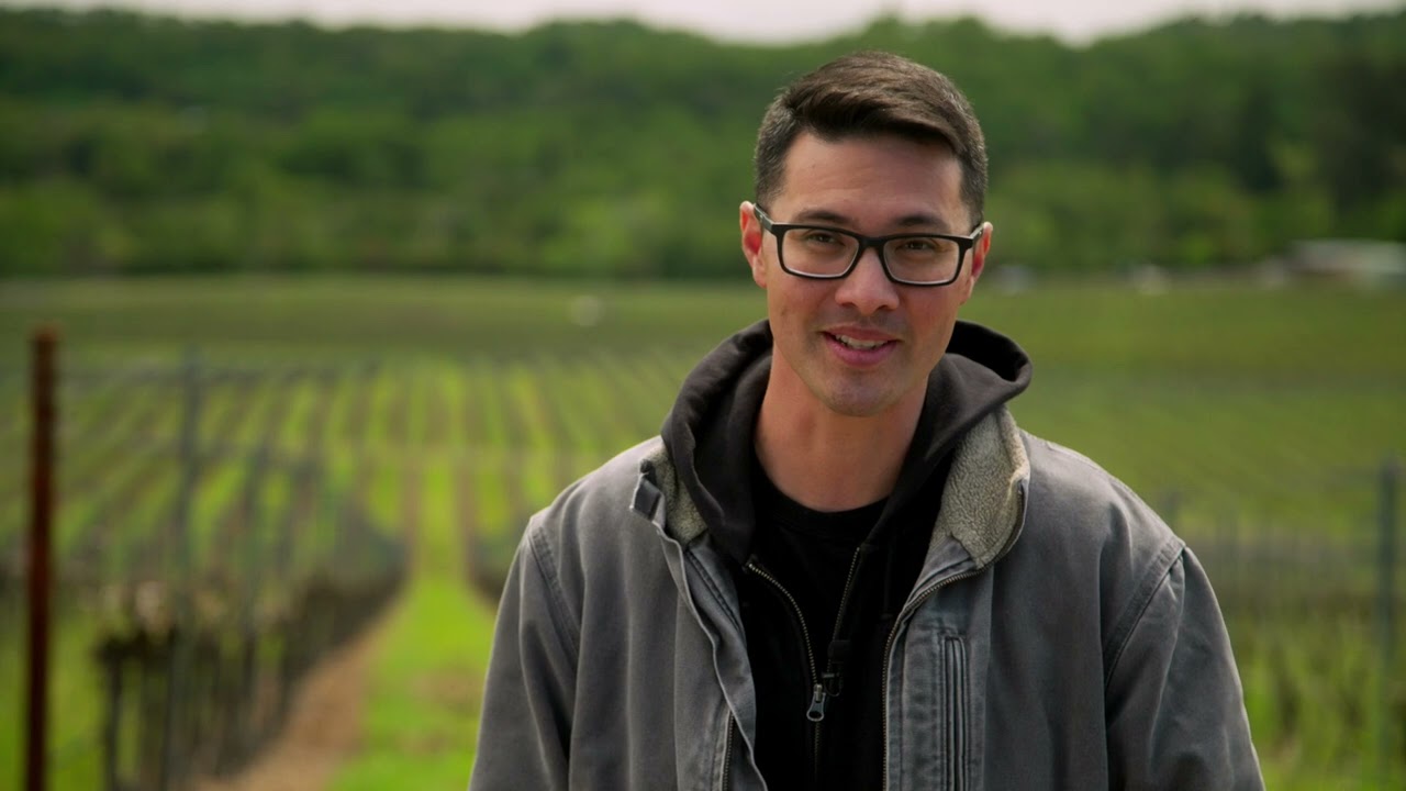 Inside Napa Valley Vineyards: A Grower’s Perspective from Oakville