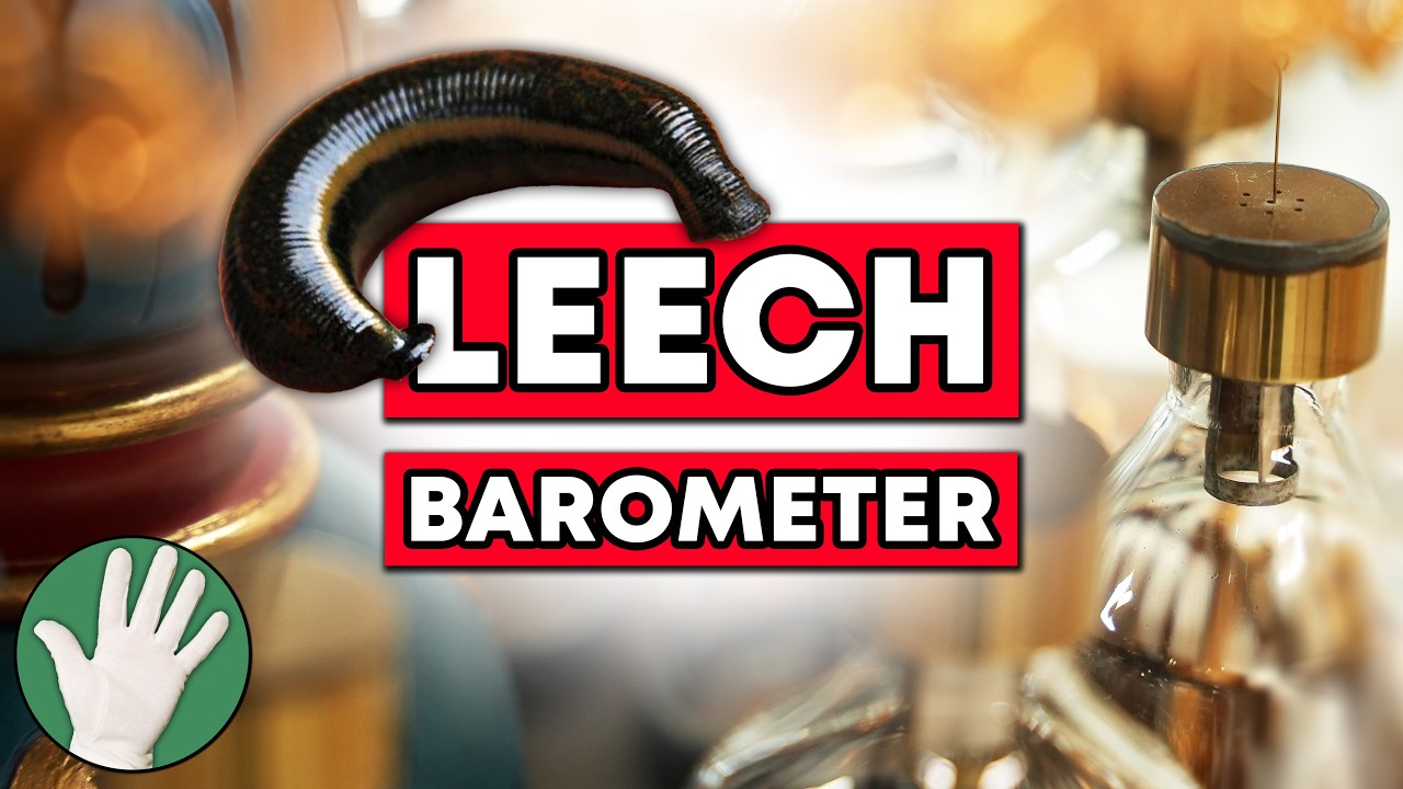 The Leech Barometer - Objectivity 301