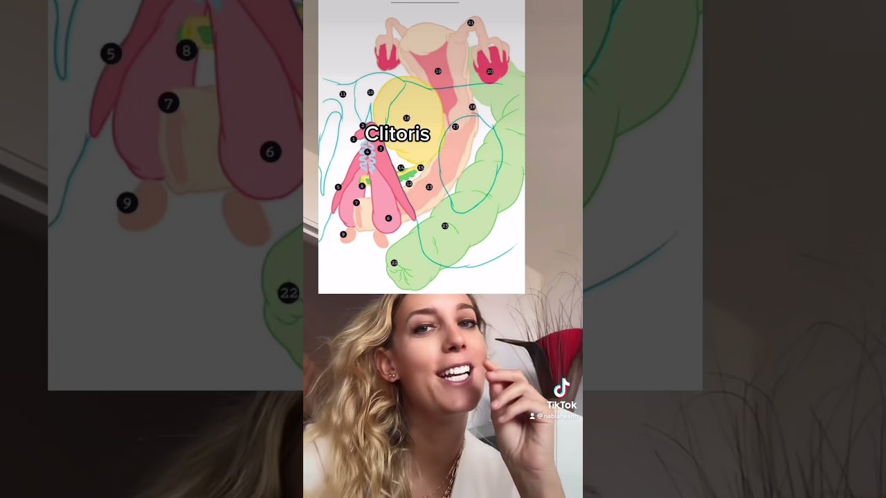 Female anatomy and sex toys