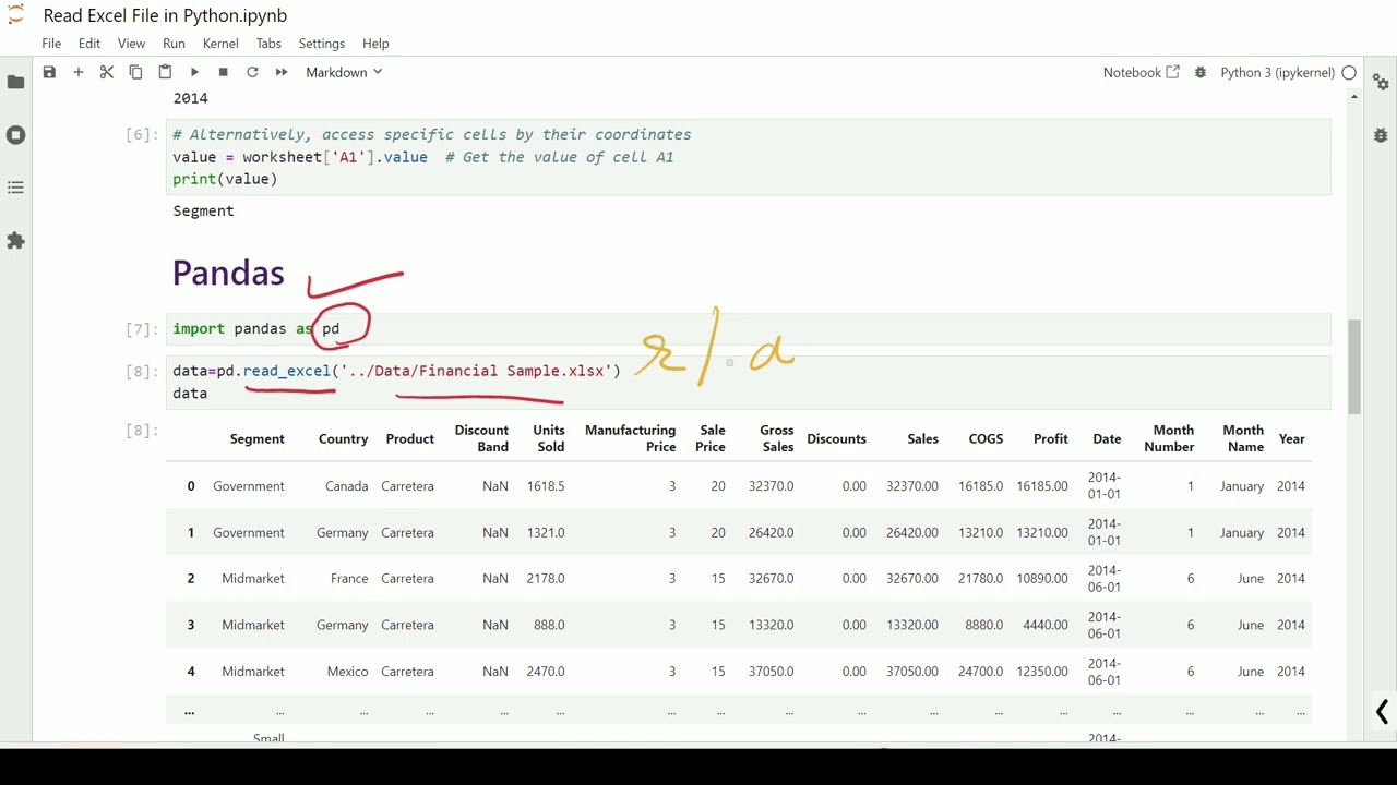 How to read excel file in Python?