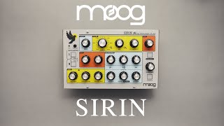 Moog Sirin Analog Synthesizer Module - What To Know & Where To Buy ...