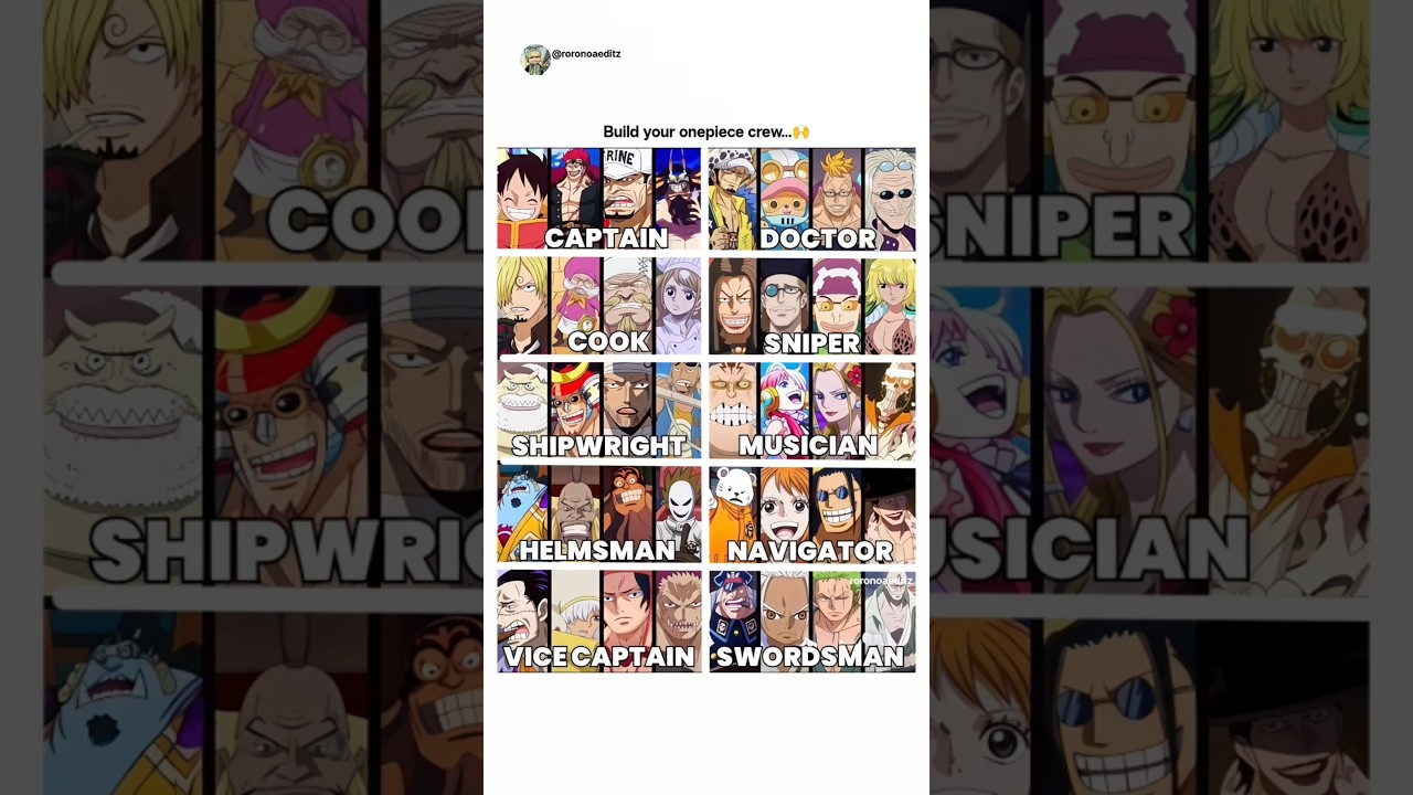 who you gonna choose ? #anime #onepiece #memes