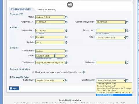 Employer Details - Form W-2