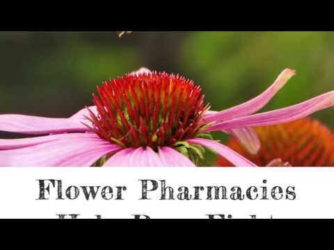 Homestead Gardener Magazine Sneak Preview