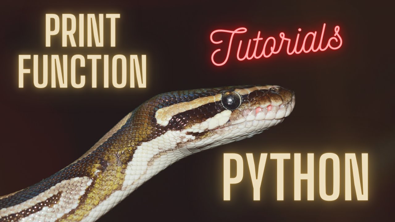 Print Function in Python | Python Tutorials 2020