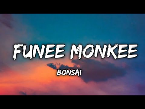 Bonsai - funee monkee gif (Lyrics) "look at the monkey, funne monkee"