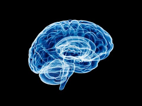 Five Psychological Perspectives That Guide Our Choices (Ad Agency Insights)