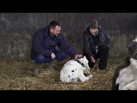 Supporting the Community – Business Insurance I NFU Mutual Ashford, Tenterden & Whitfield