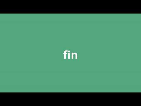 what is the meaning of fin