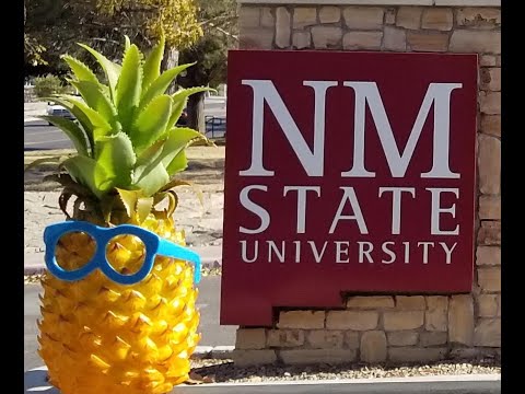 School of Hotel, Restaurant and Tourism Management Careers and Alumni Spotlight