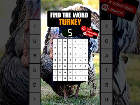 Word Search Challenge⏰Can you Find the word TURKEY????#turkey #puzzle #challenge #quiz #trivia #iqtest