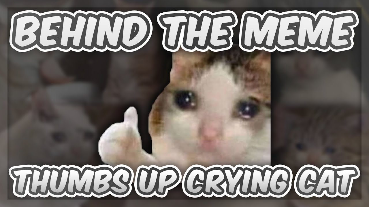 Why is Thumbs Up Cat Crying? [Behind The Meme]