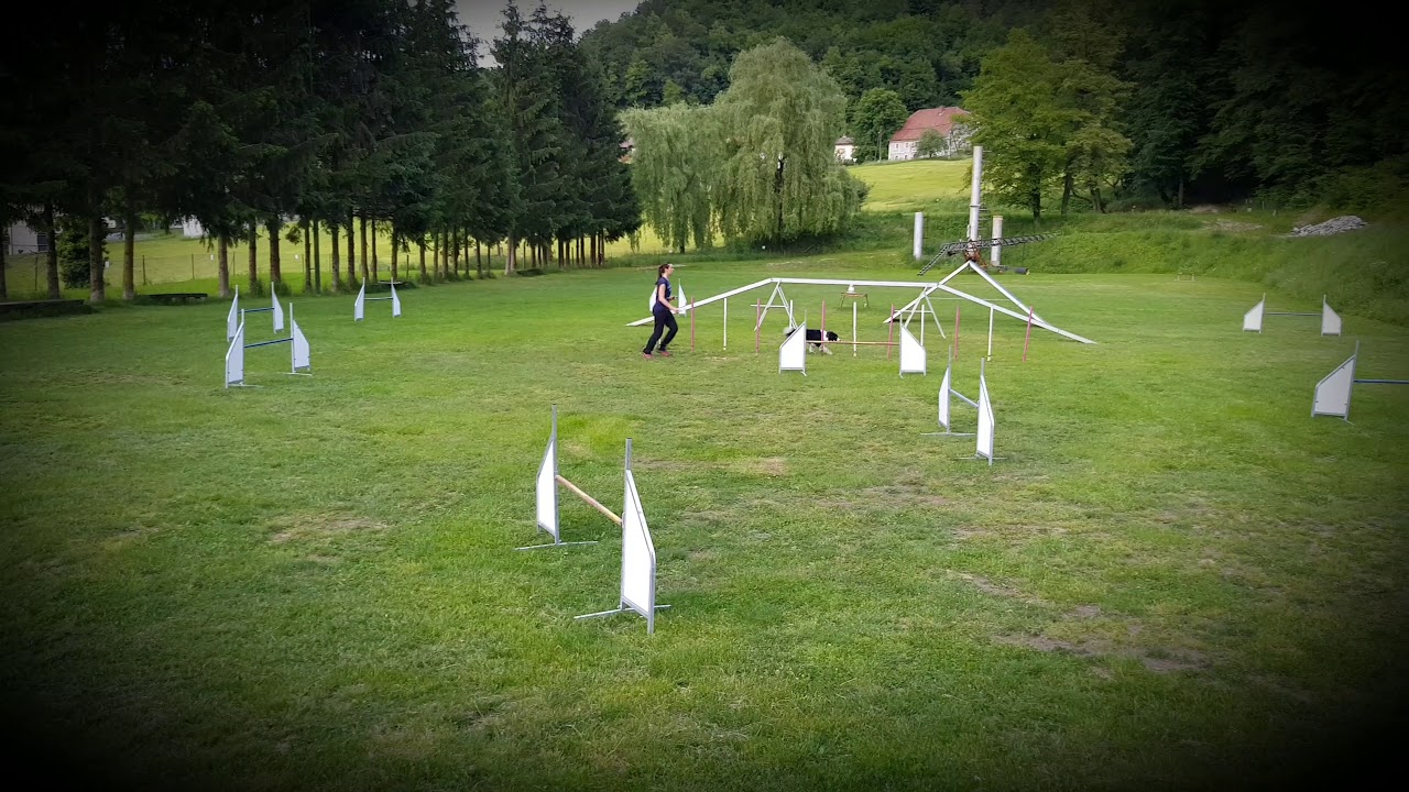 Shadow of Aire Right on time (Agility training 16.05.2018)