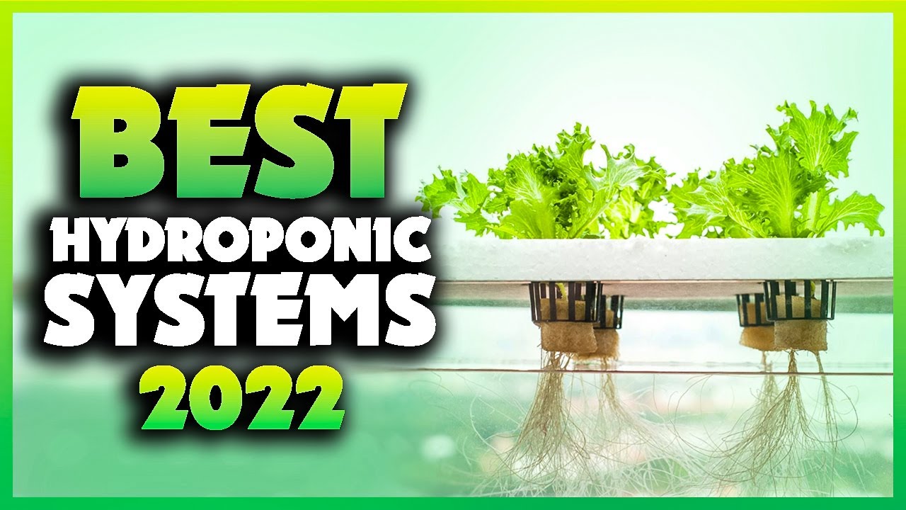 Top 5 Best Hydroponic Systems You can Buy Right Now [2023]