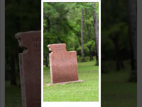 Things to Do in Spanish Fort, AL | Blakeley State Park | Baldwin County AL