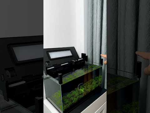 Xiaomi fish tank heightening bracket #trending #fishaquarium #fishtank #fish #fishvideo #aquarius