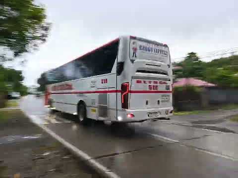DLTB (CARGO VERSION) (NO.516)