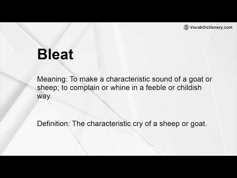 Bleat Meaning