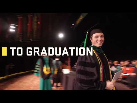 Academic Excellence - Wayne State University