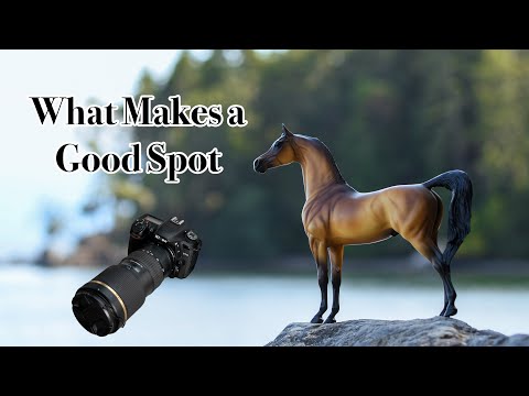 Model Horse Photography - What Makes a Good Spot