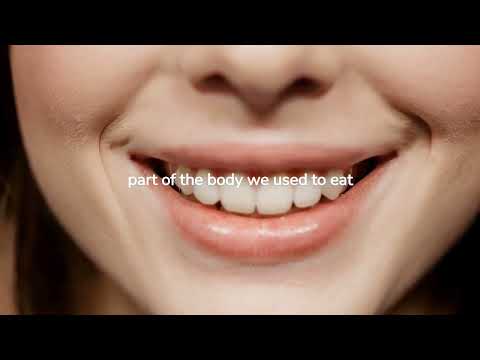 Learn the Parts of the Human Body in Spanish with Vamos Academy