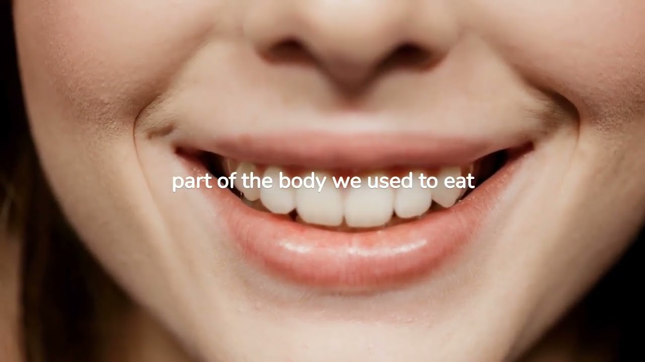 Learn the Parts of the Human Body in Spanish with Vamos Academy