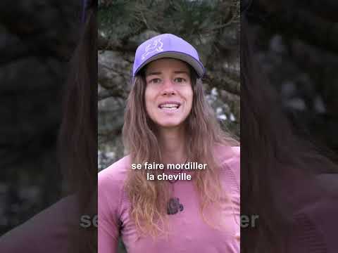 Faut-il ignorer son chien ?