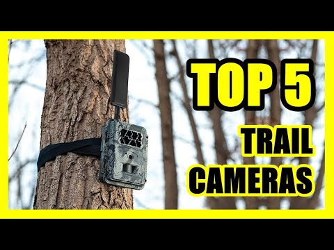 TOP 5: Best Trail Camera [2023]