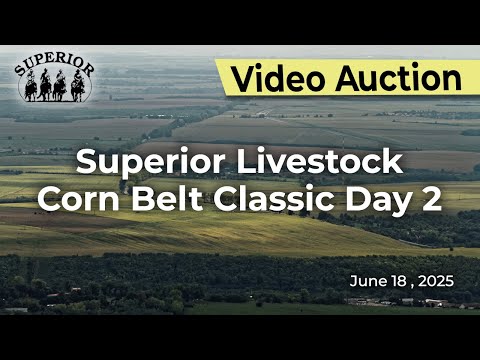 Superior Livestock Auction - Video Auction